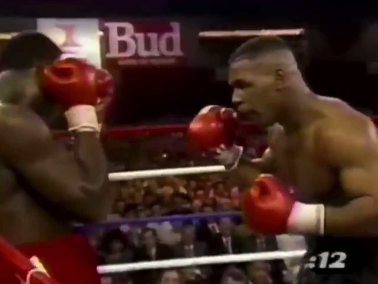 Dom Taylor (@walcottlangford) / Twitter