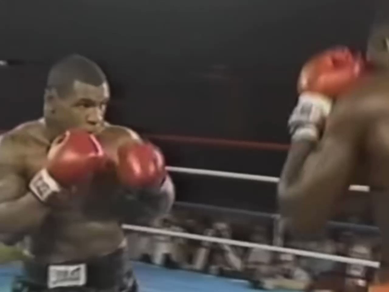 Dom Taylor (@walcottlangford) / Twitter