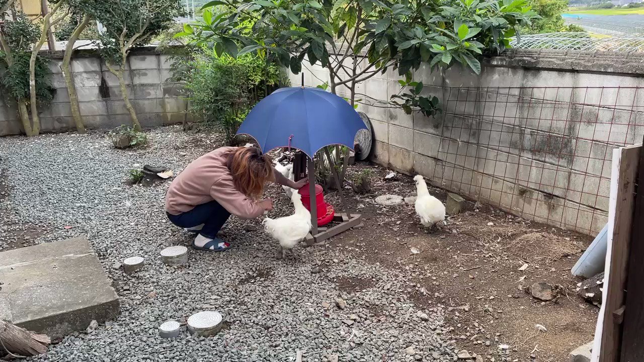 でぃーんとtetu channel YouTuber (@tetu_deen) / Twitter