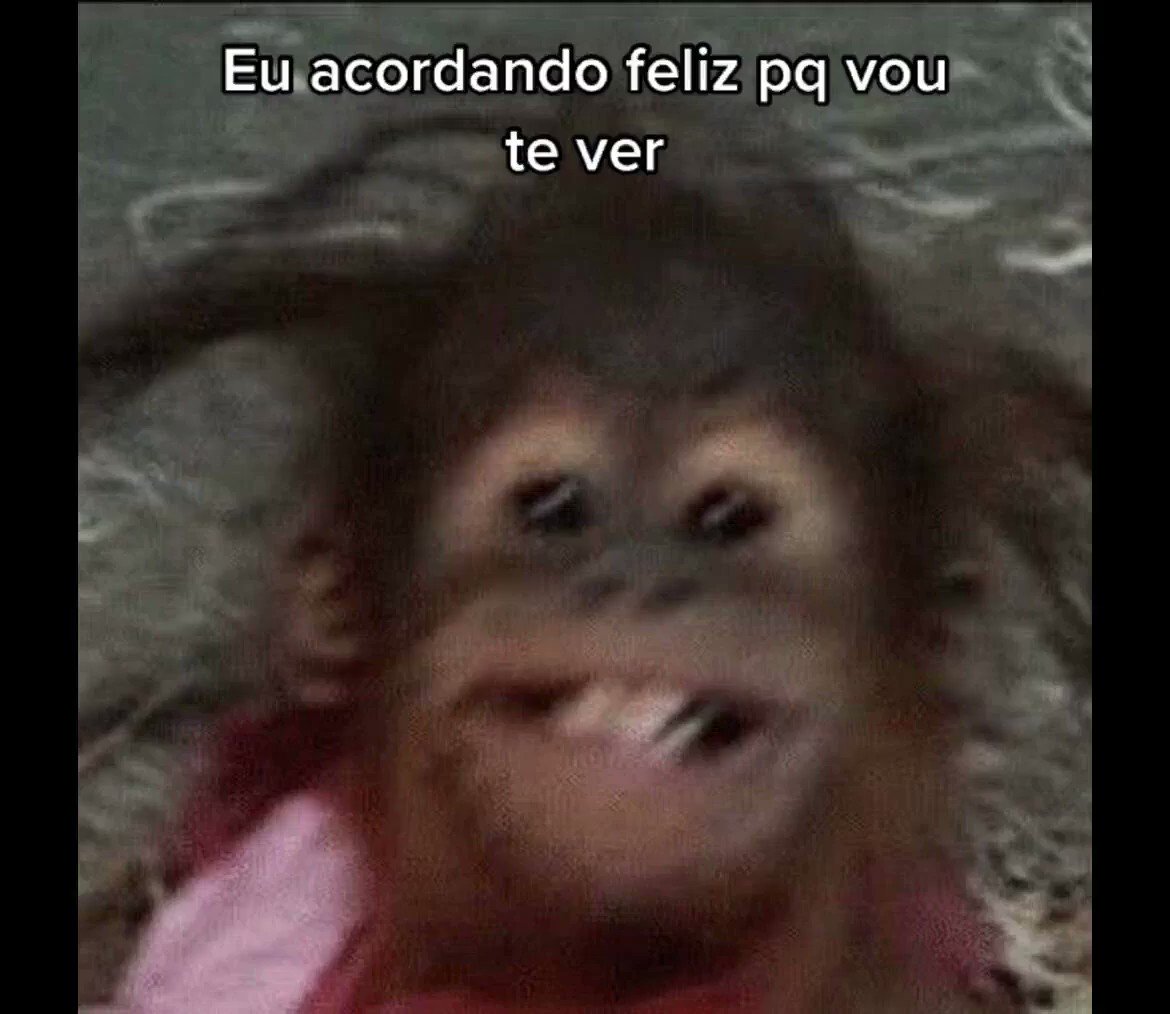 Joaozeras On Twitter Sou Exatamente Assim Com Bruny Vt8rxamfkm Twitter