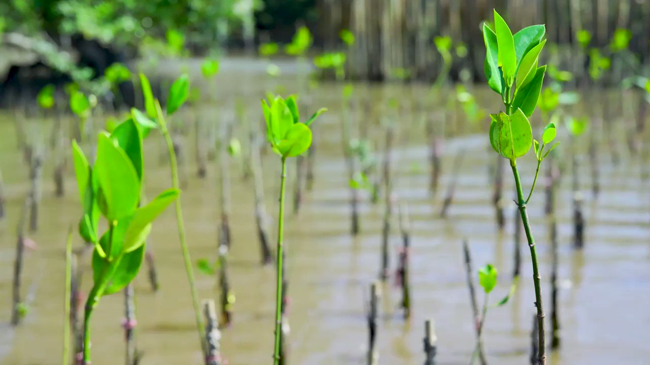 Global Environment Facility (GEF) (@theGEF) / Twitter