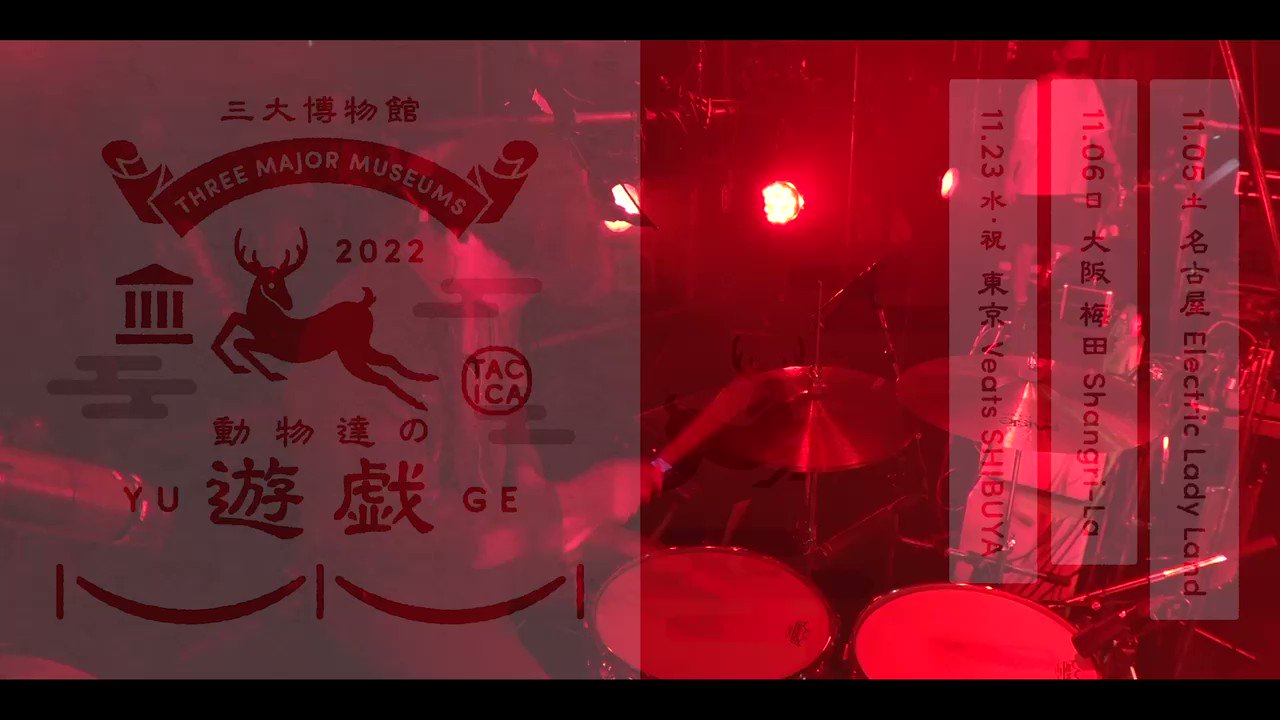 tacica_official (@tacica_official) / Twitter