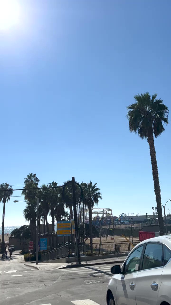 Amareen Brar (@AmareenBrar) / Twitter