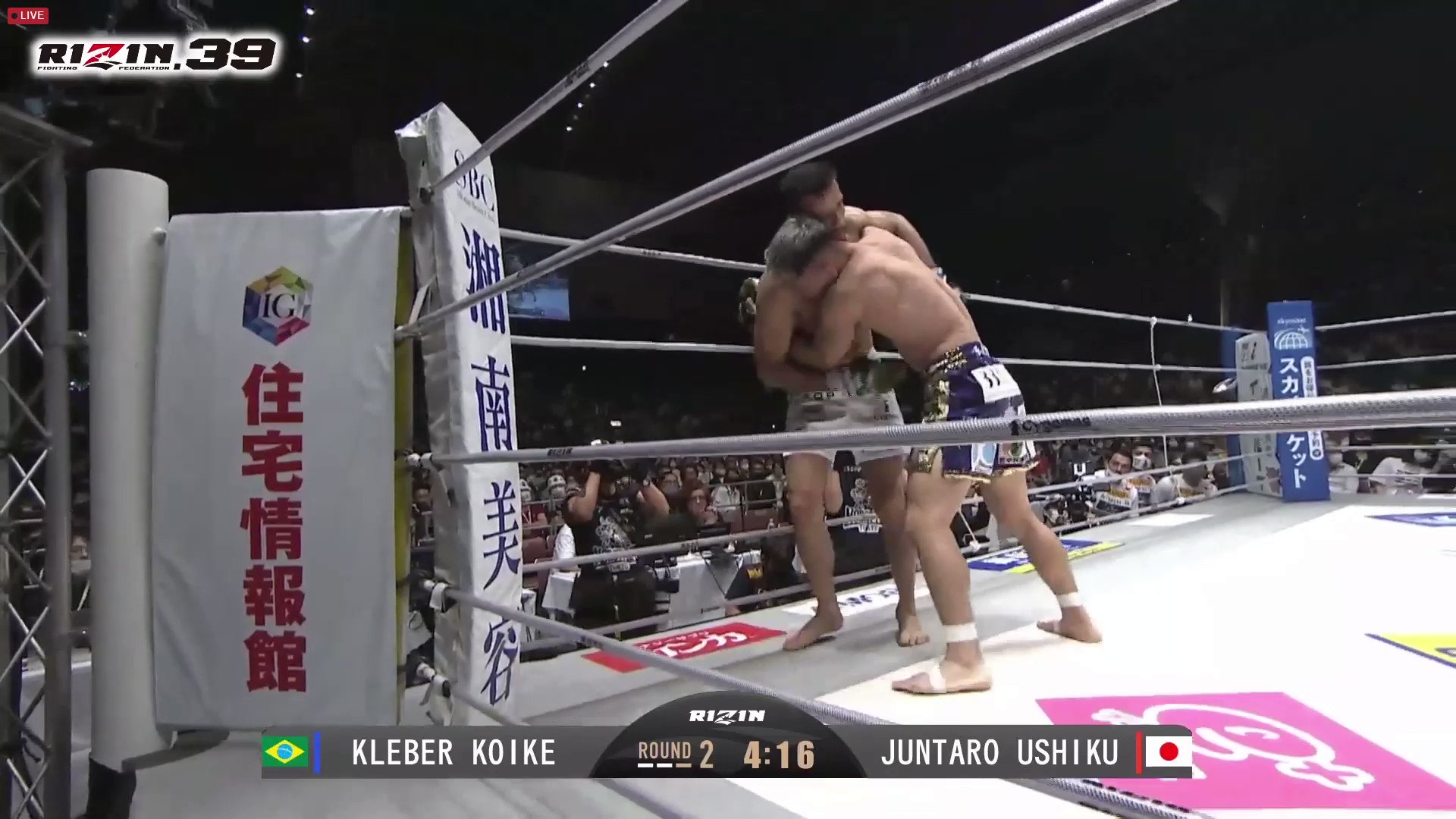 RIZIN FF English on Twitter: ""VOU PEGAR!" 🇧🇷 KLEBER KOIKE IS INEVITABLE‼️ [Watch #RIZIN39 ️ ...