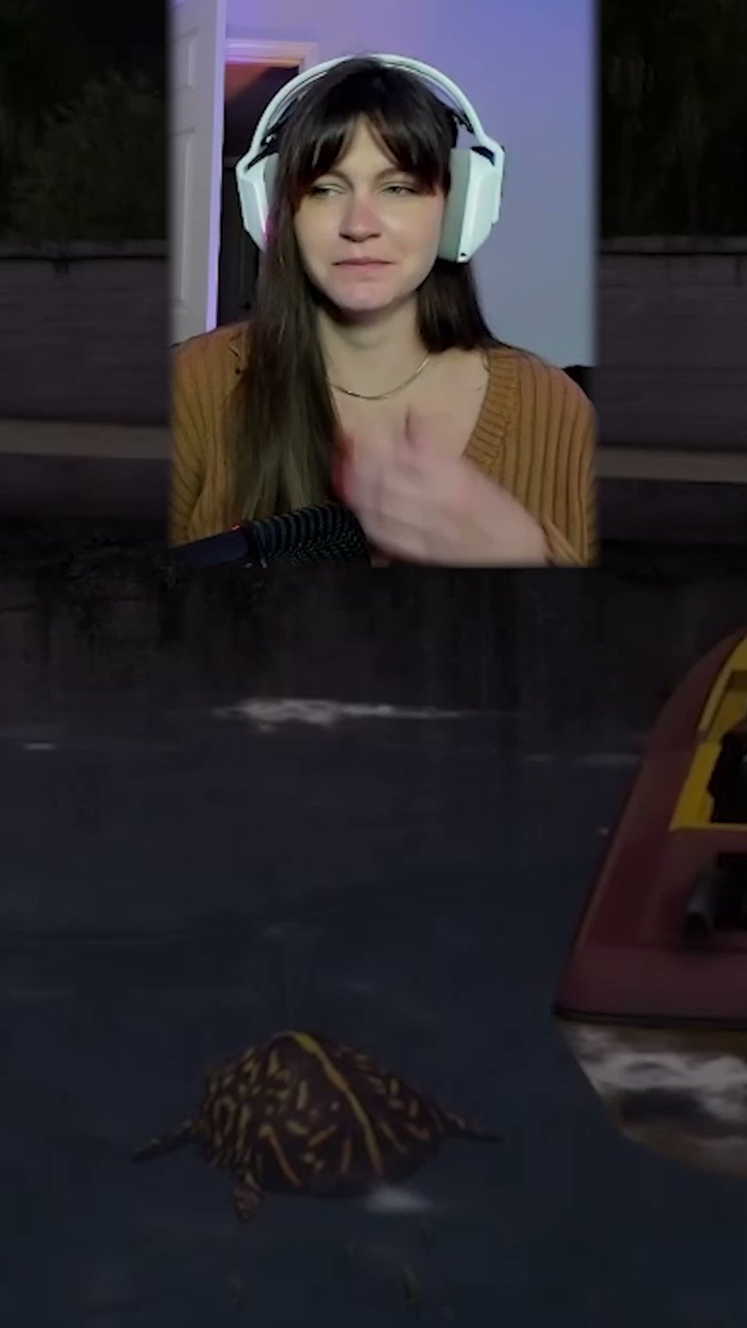 Lippsmacker (@Lippsmacker) / Twitter