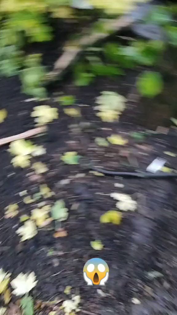 Мисливець за зорями On Twitter Памятаєте колись мережею гуляв мем про люблю дощ під ним