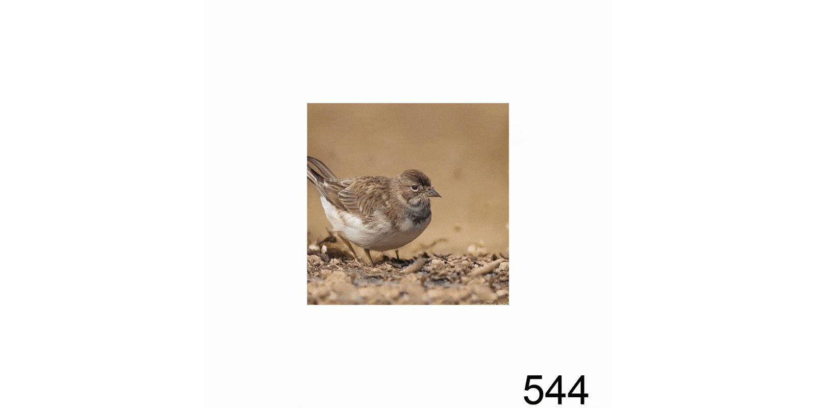 ziteng cui (@Empire_Xiao_Yan) / Twitter