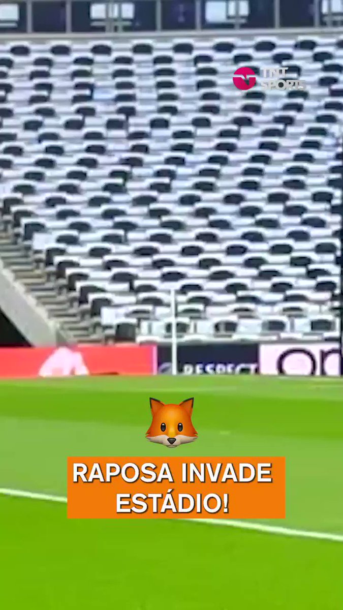 Tnt Sports Brasil On Twitter Kkkkkkkkkkkk InacreditÁvel 😂🦊 O