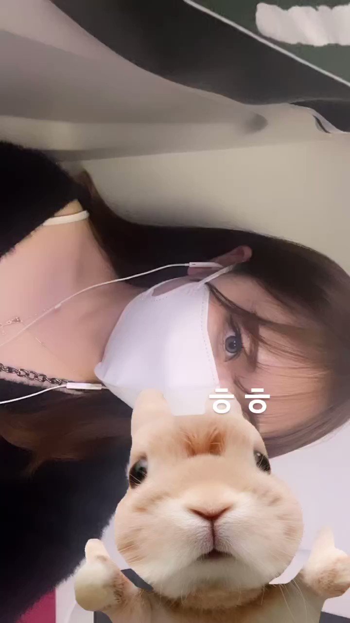 ㅇㅇ (@xx_ee19) / Twitter