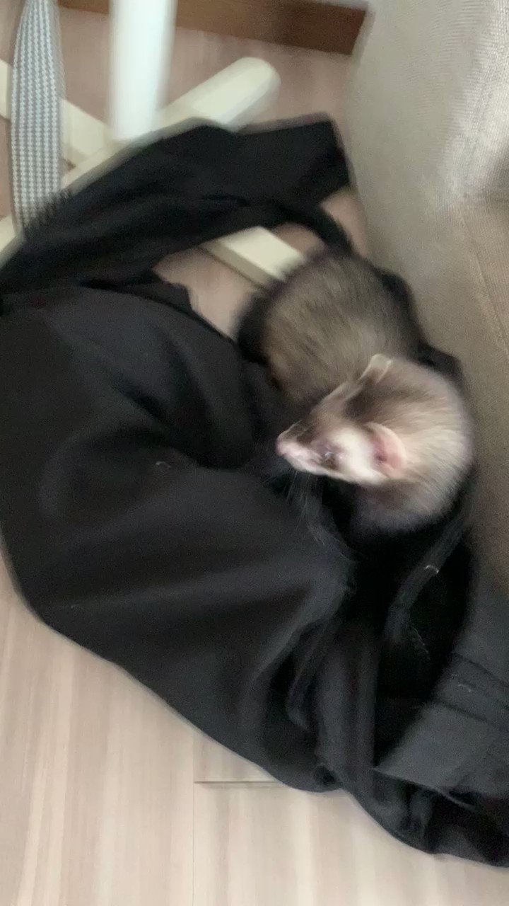 にっき (@sr_yk_ckw) / Twitter