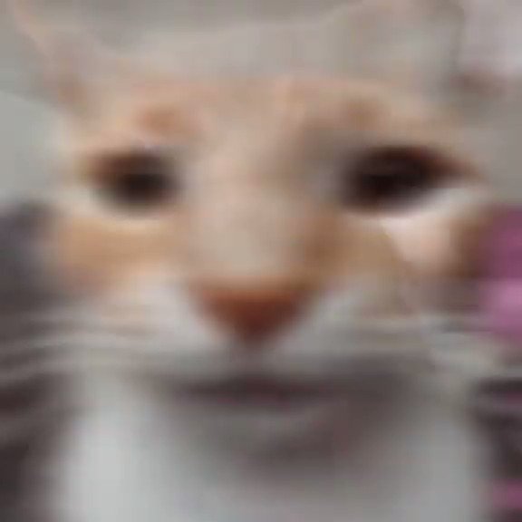 That One Console Collecting Furry on Twitter: "Csgo cat edits♡ https://t.co/5va95aUDG9" / Twitter