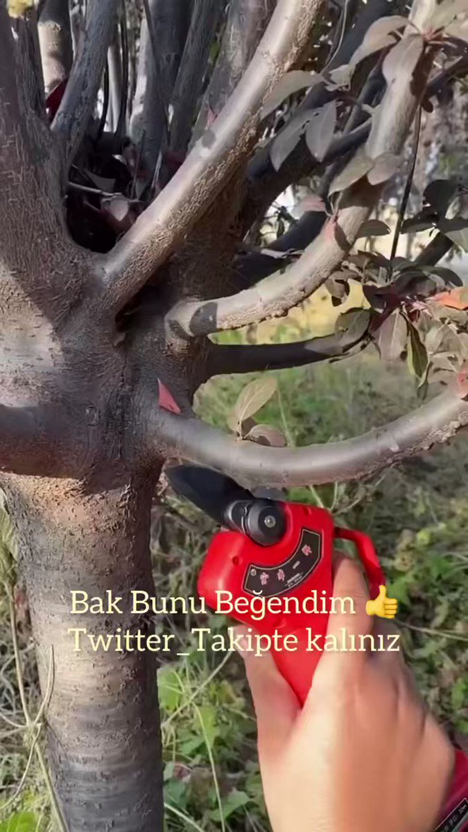 Bilgi Durağı on Twitter: Bilgi Durağı on Twitter: