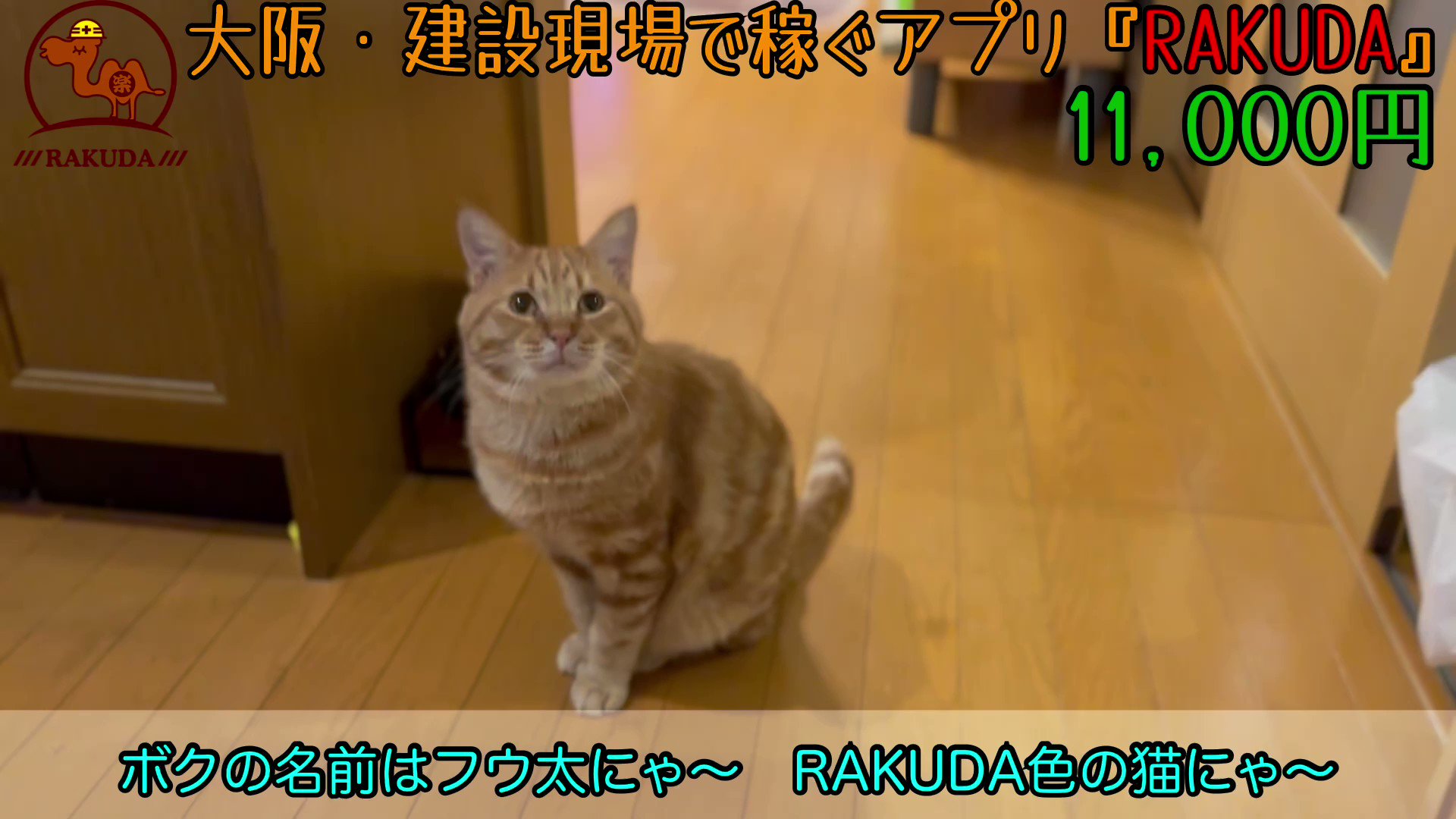 RAKUDAアプリ【公式】大阪の建設現場で稼ぐアプリ・働き方は自分で決める！ on Twitter: "Youtubeアップしました🐪 ネコのフウ太 拾われてからの思い出語り「中編」 衝撃の ...
