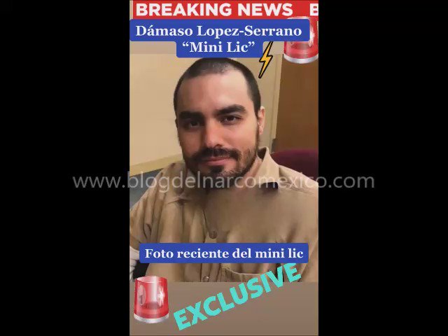 El Mini Lic Damaso