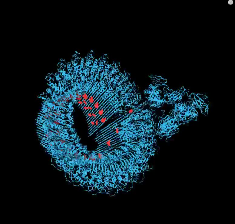 3D Protein Imaging on Twitter: "CryoEM structure of the membrane attack complex (MAC), one of ...