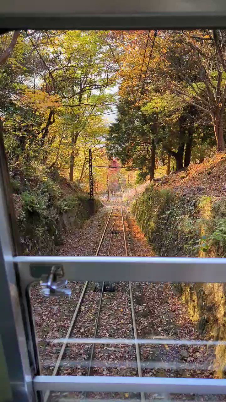 センテンススプリング On Twitter 比叡山ロープウェイで山頂に行って明日増g引けるように願掛けしてきた