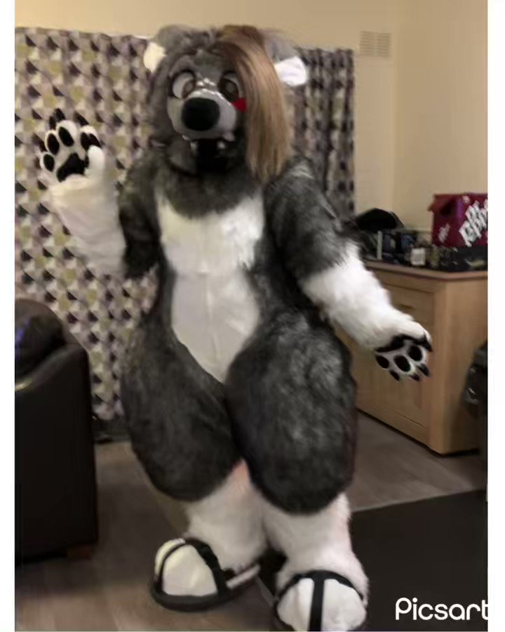 Joseph Morley on Twitter: "RT @PB_Fursuits: My first commissioner and best friend @VampyBoo_Wolf ...