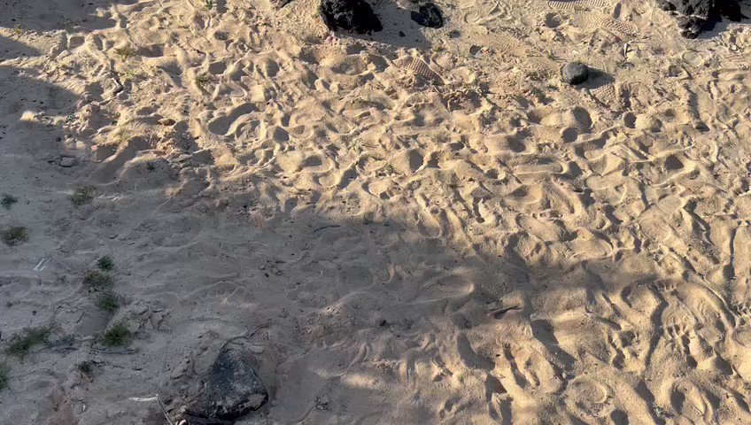 Candee Licious On Twitter I Just Love Being Near The Sea๐ฅฐ๐ฅนโ๏ธ๐
