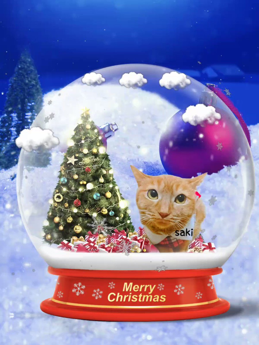 五代雄介 Tt小隊広報部係長補佐代理 On Twitter Rt Saki Tokyojapan Mycat 愛猫🐈🎄⛄🎅🎈