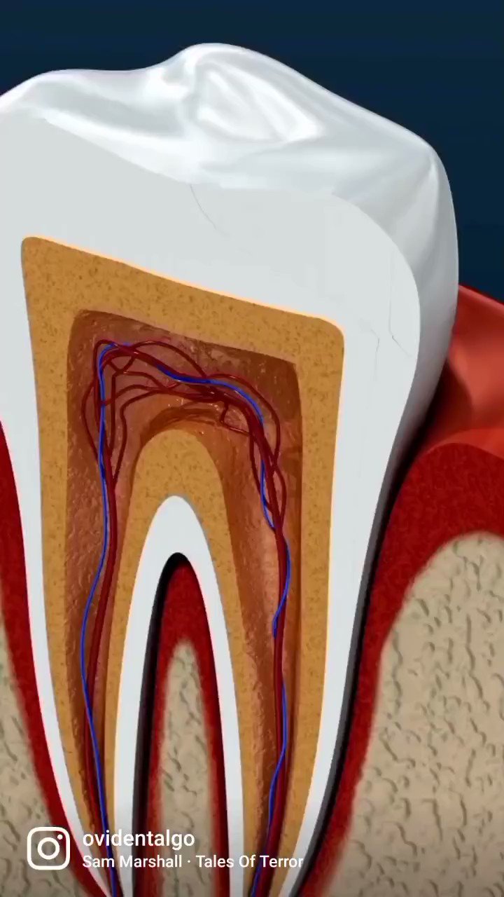 OVI Dental (@OviDentalGo) / Twitter