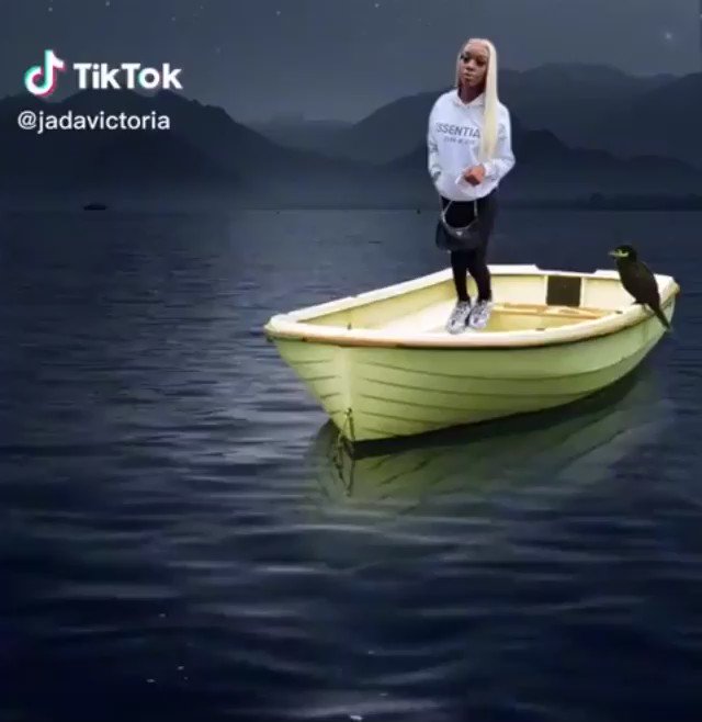 The Memes Archive On Twitter Rt Thememesarchive Girl And Bird