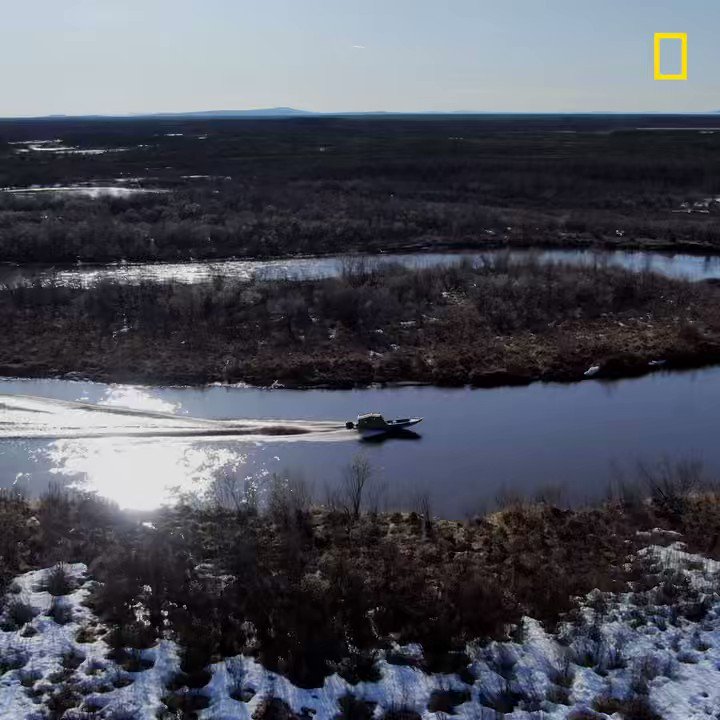 National Geographic TV on Twitter: "Sometimes you have to be a little ...