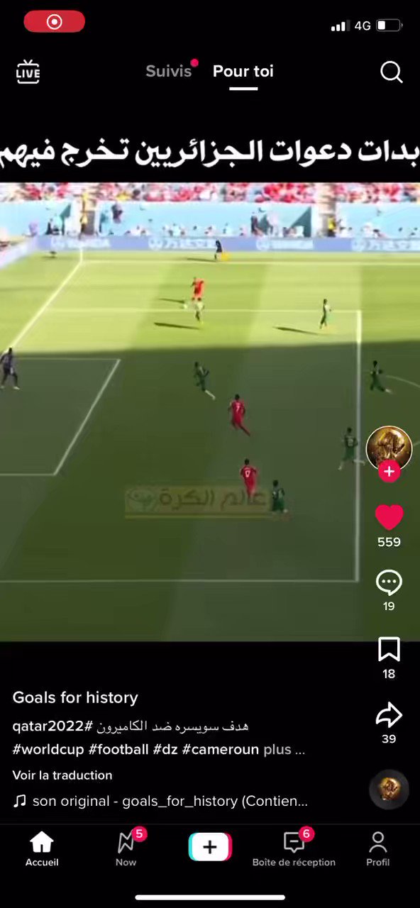 DZfoot English 🇩🇿⚽️ on Twitter: "🇨🇲 Cameroon has won just 2 games since Rigobert Song was ...