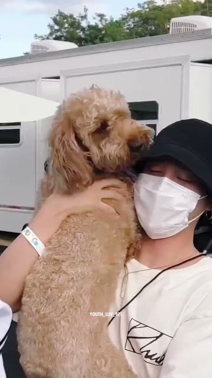 little prince jimin ☽ on Twitter: "this puppy fr just like me 😭 https://t.co/OFkN0nVZKf" / Twitter