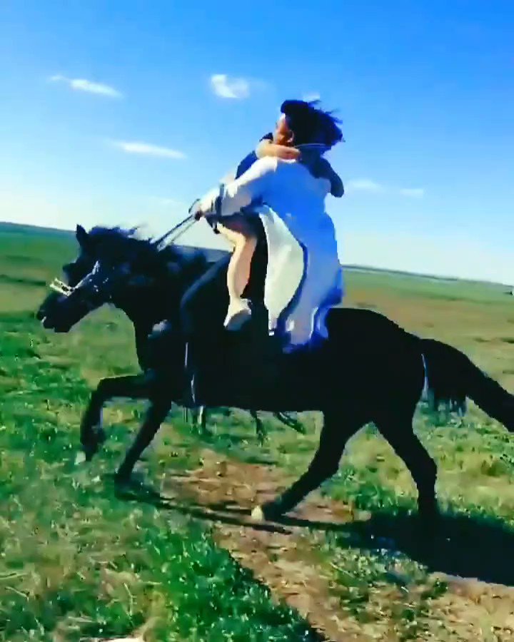 Modest Bayasaa ™ On Twitter Би одаа морь унаж үзээгүй чаддаг ч үгүй