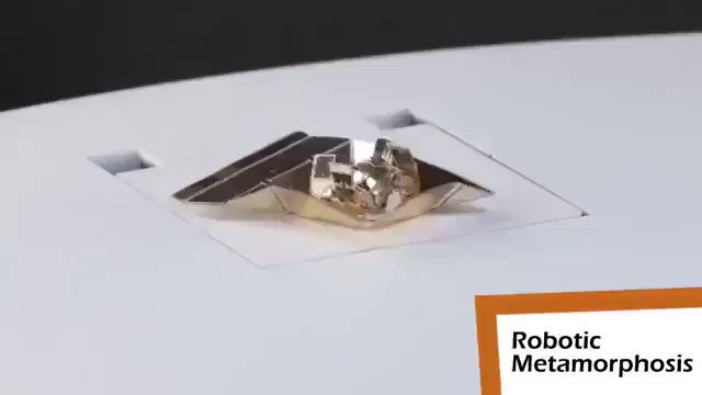 Massimo on Twitter: "Created by MIT CSAIL, this shape-shifting robot can walk, roll, sail, and ...