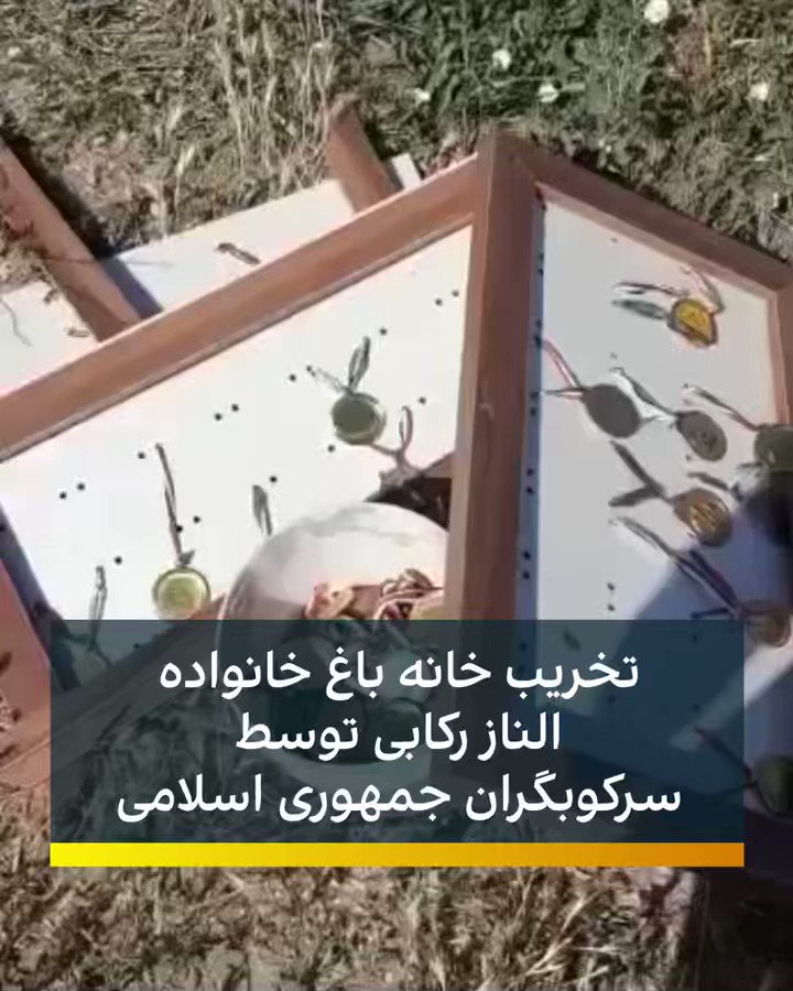 ایران اینترنشنال ورزشی On Twitter خانه باغ خانوادگی الناز رکابی، سنگ