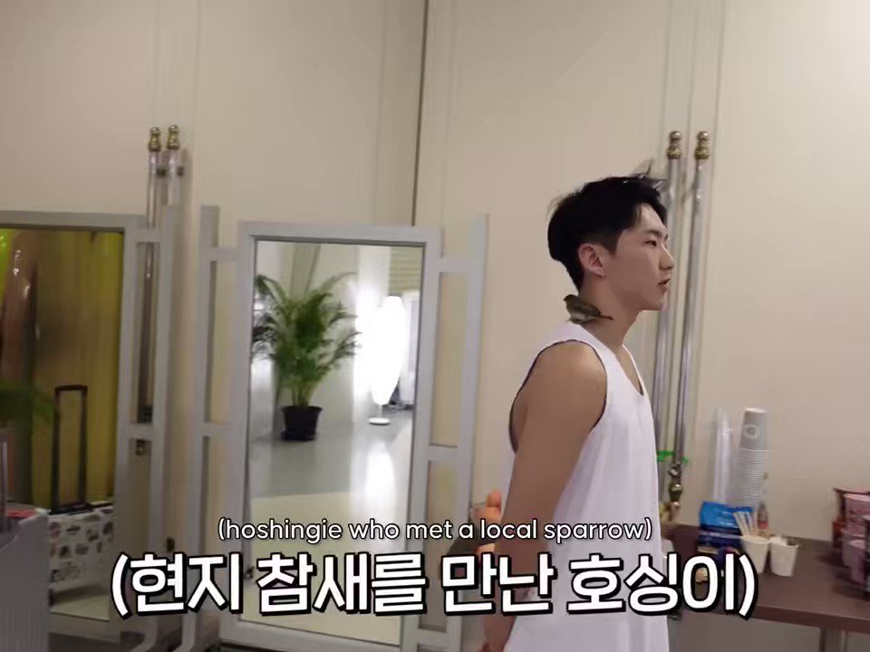 on Twitter: "the members talking thoughtfully about hojji theyre so silly https://t.co ...