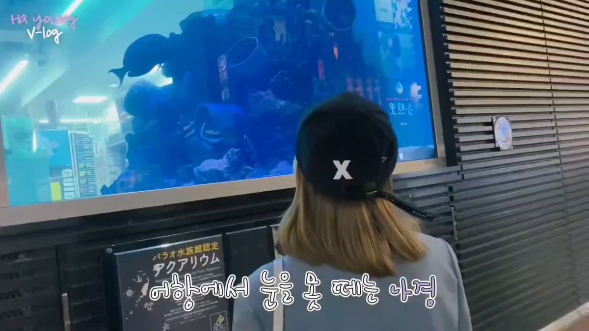 우리집 아기 꼬양이는 일본 가서도 물꼬기 구경해용😚 77🍀 @nk00_0707