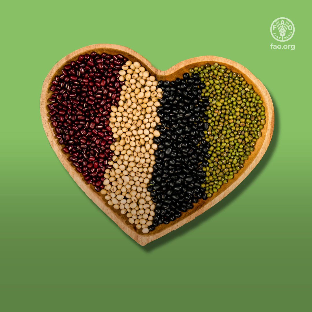 FAO Mesoamérica on Twitter: FAO Mesoamérica on Twitter: