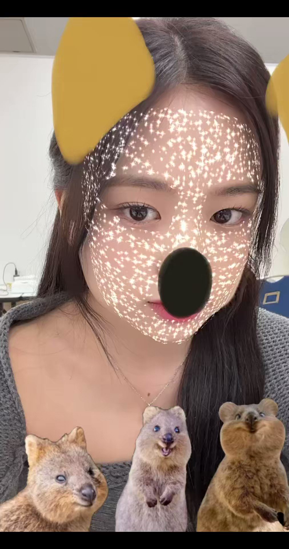 mimeow (@glibyyujinx) / Twitter