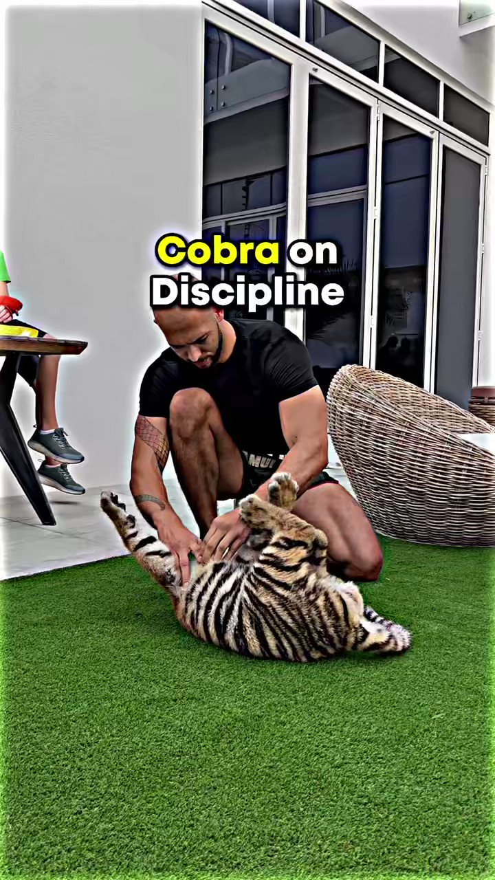 Grindset Unlocked (@GrindsetUnlock) / Twitter