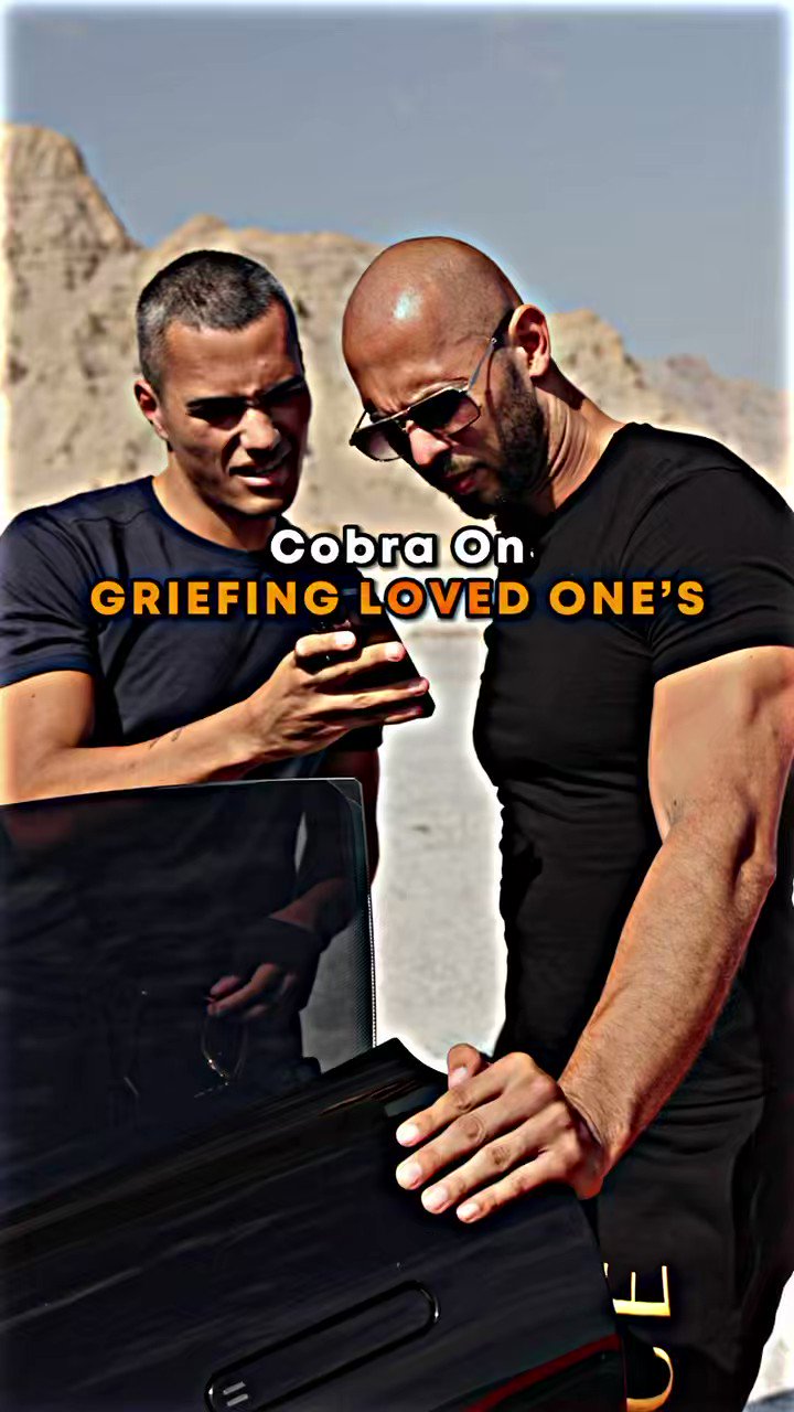 Internal Lion 🦁 (@Internal_Lion) / Twitter