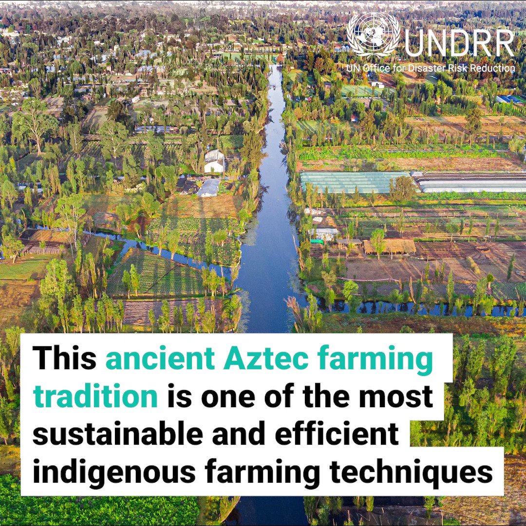 Chinampa Farming Method Of The Pics