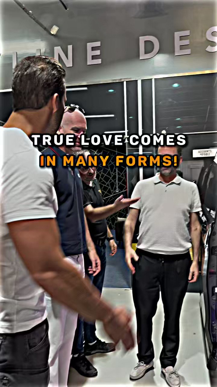 Internal Lion 🦁 (@Internal_Lion) / Twitter