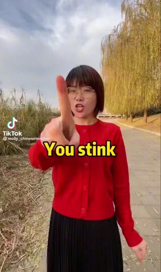 The Memes Archive on Twitter: "RT @TheMemesArchive: you stink! chinese teacher reaction video ...