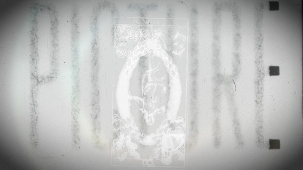 The Bornless on Twitter: "Our final riddle is here ready to be unwrapped. Good luck and remember ...