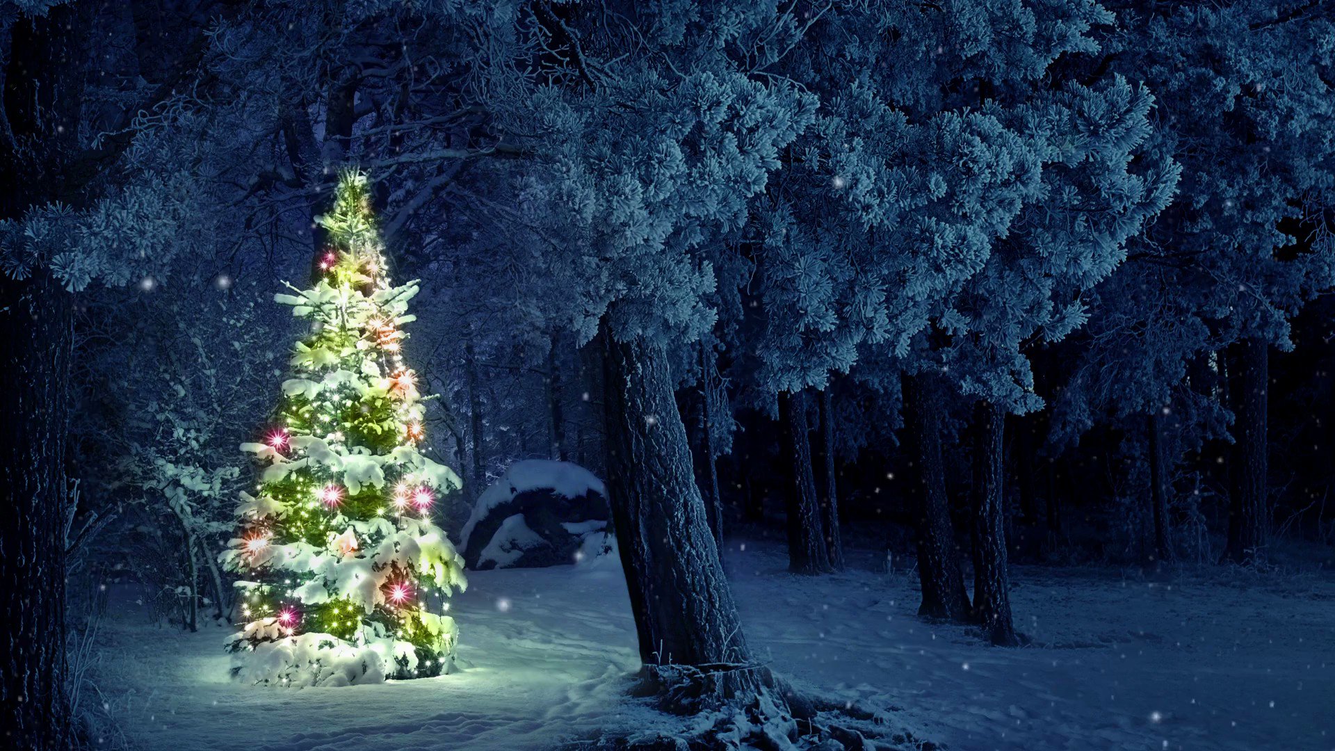 🌠tatsu |TEAM JOHN🏀JUNKeeeeS🍔🍟CNP Reborn🥚 (@tatsuwaku_NFT) / Twitter