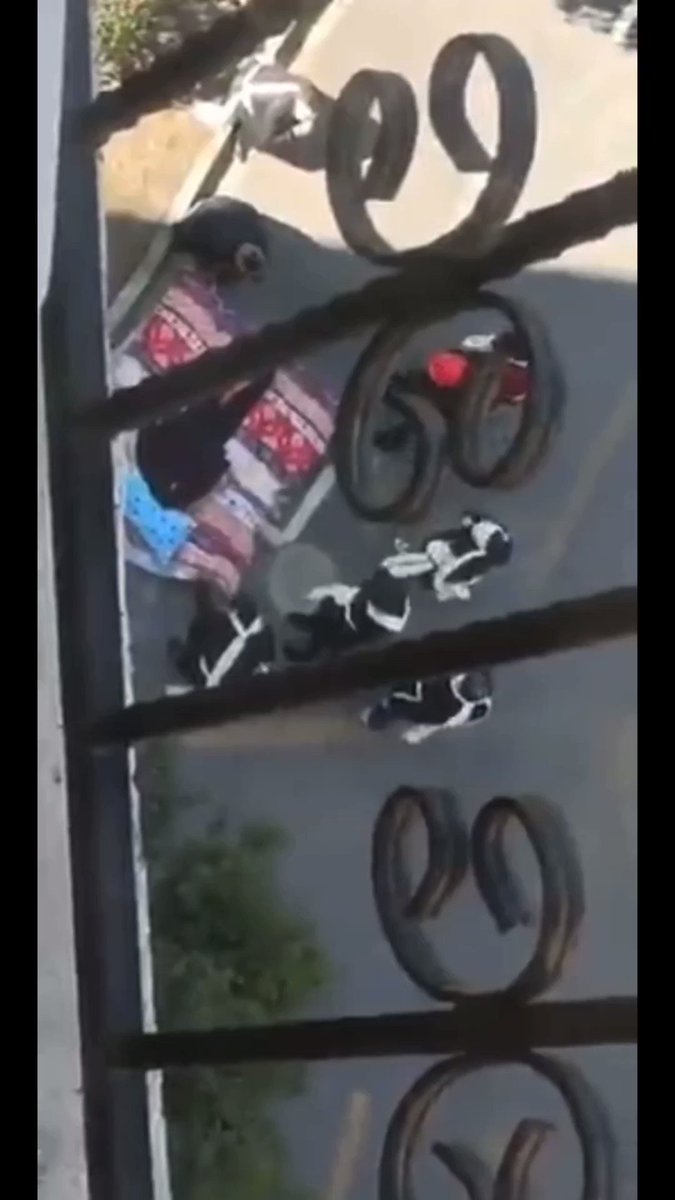 Northrop Gundam 💎∀🦅⚔️☭⃠ on Twitter: "Communist #china's Shanghai, as crematoriums are fully ...