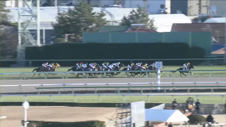 JRA World Racing on Twitter: "【🇯🇵 Arima Kinen (The Grand Prix) (G1), Nakayama, 2500m, 3yo&up ...