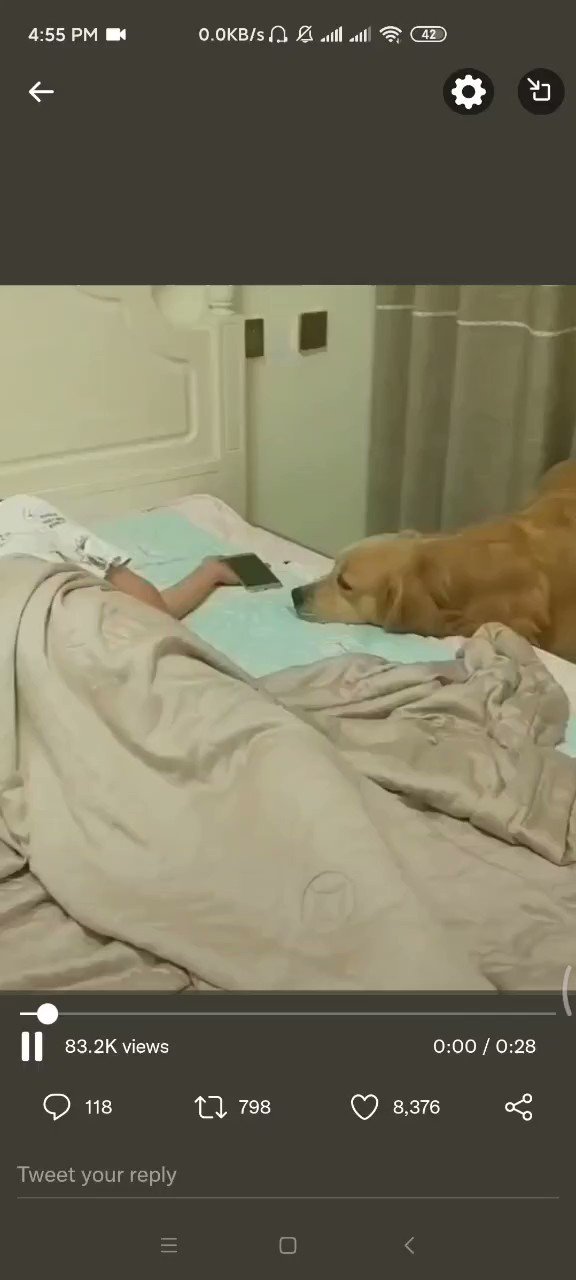 Nyan Lin Aung (@NyanLin97044043) / Twitter