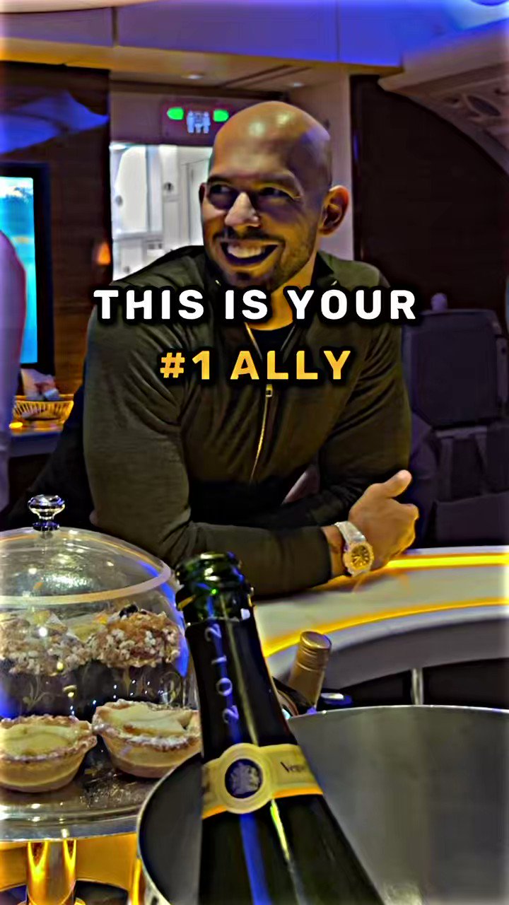 Internal Lion 🦁 (@Internal_Lion) / Twitter