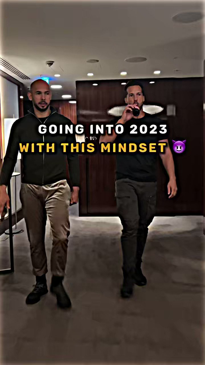 Internal Lion 🦁 (@Internal_Lion) / Twitter