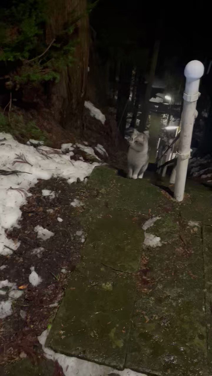 Hello!OHANA (@helloohana_) / Twitter