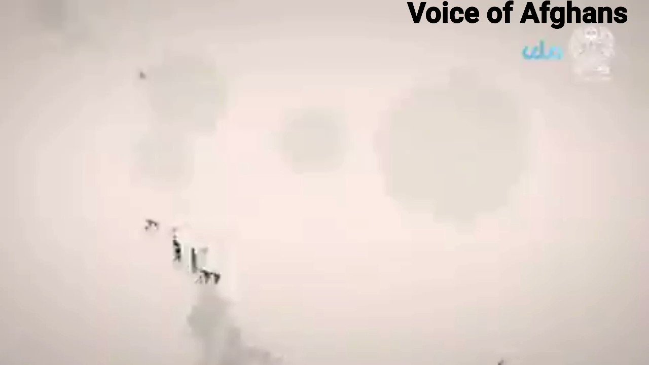 Tamim Afghan (@TamimAfghan010) / Twitter