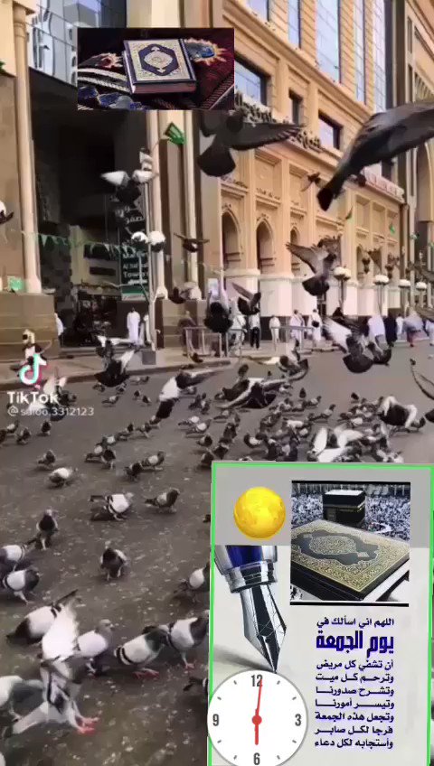 فهد بن حسين العساف Fahad H Alassaf Twitter